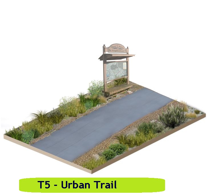 Trail 5 Transect - The Trail Transect